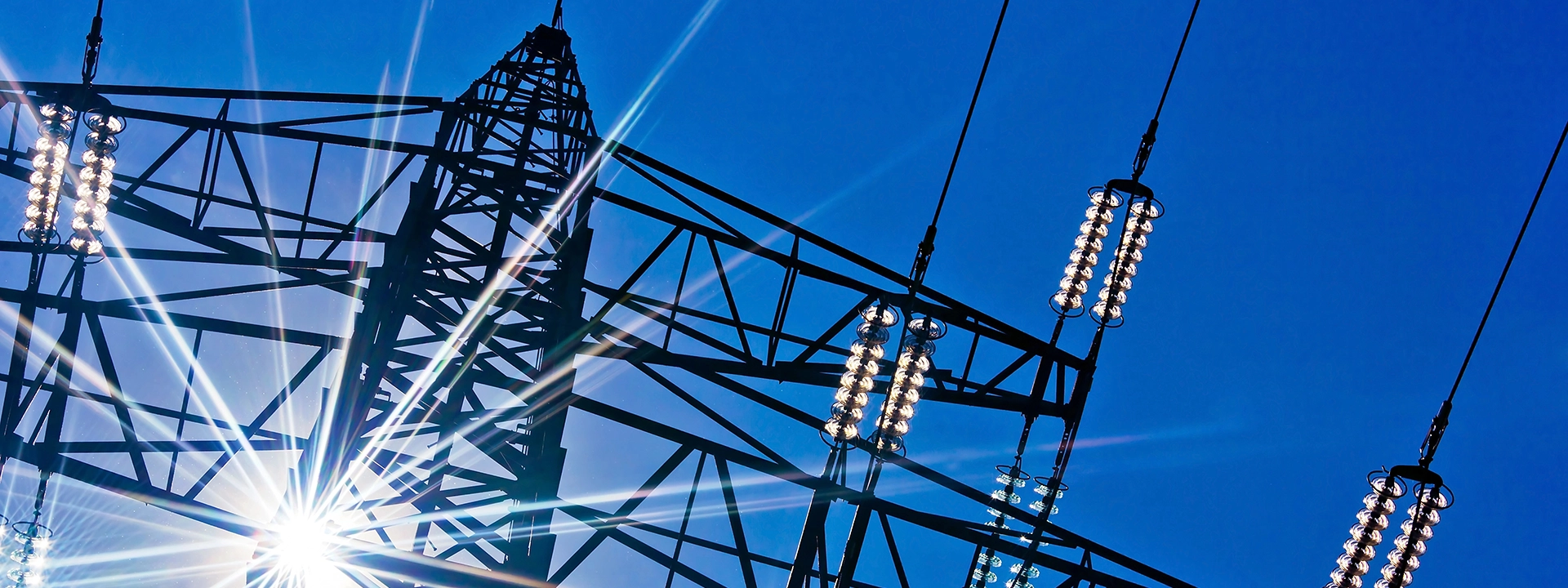 About Us – Tall Trees Capital