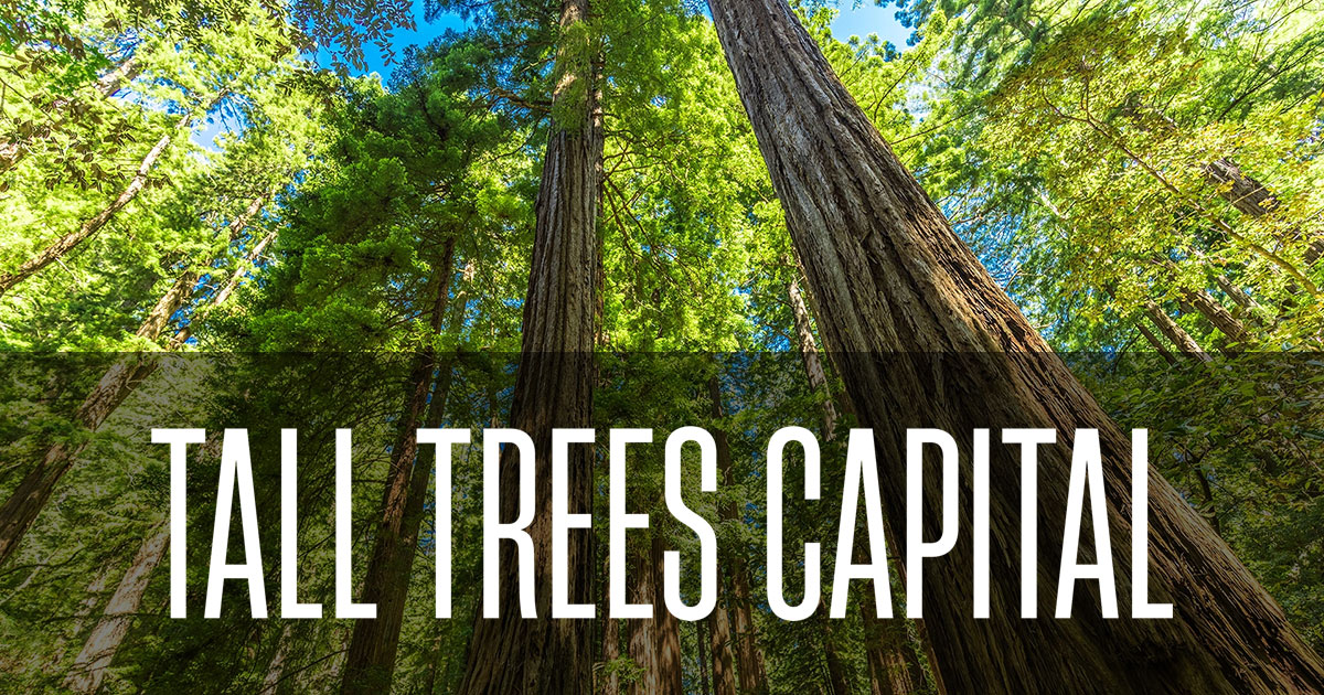 Subscribe Now – Tall Trees Capital